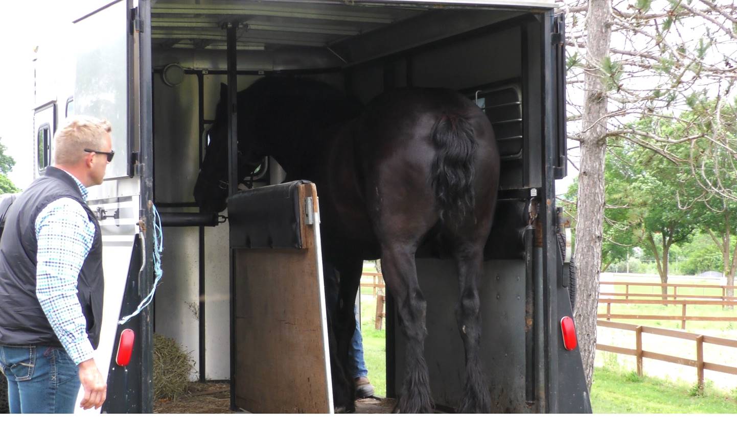 PHOTOS: Food Drive in Lowville with Fred the Horse Collects Donations ...
