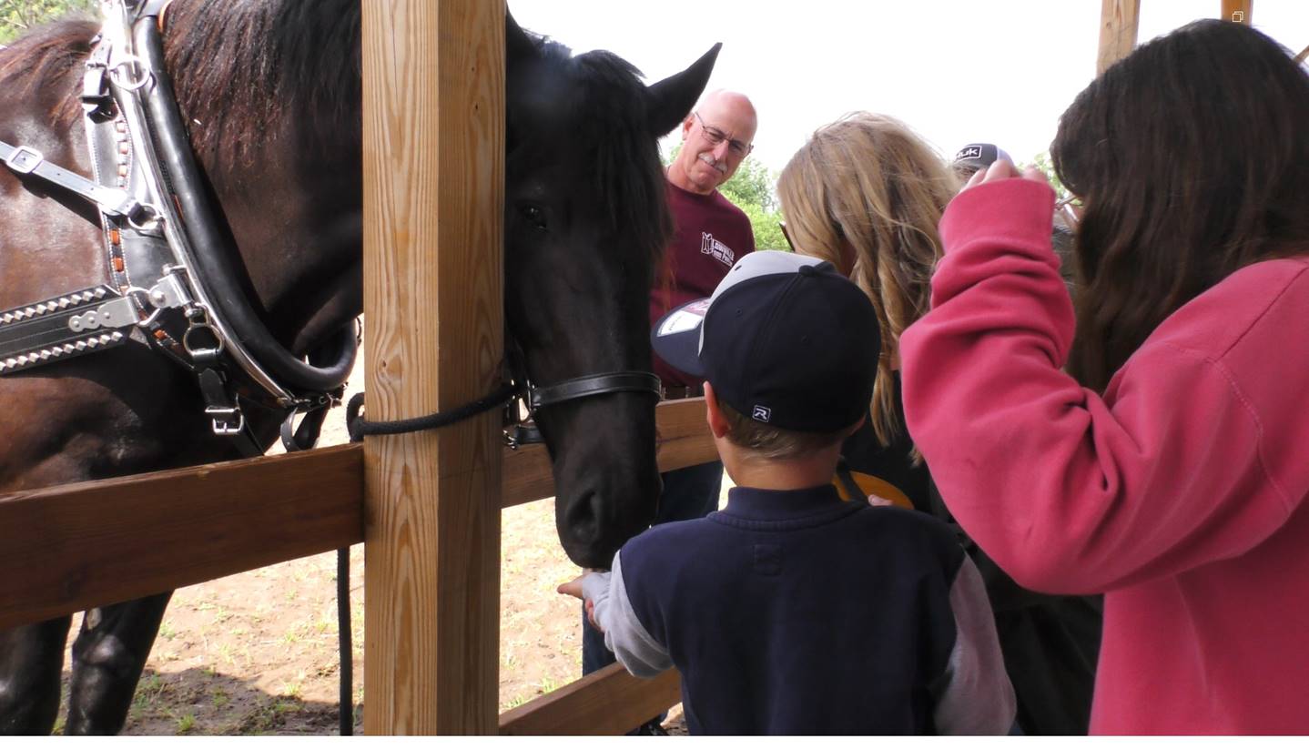 PHOTOS: Food Drive in Lowville with Fred the Horse Collects Donations ...