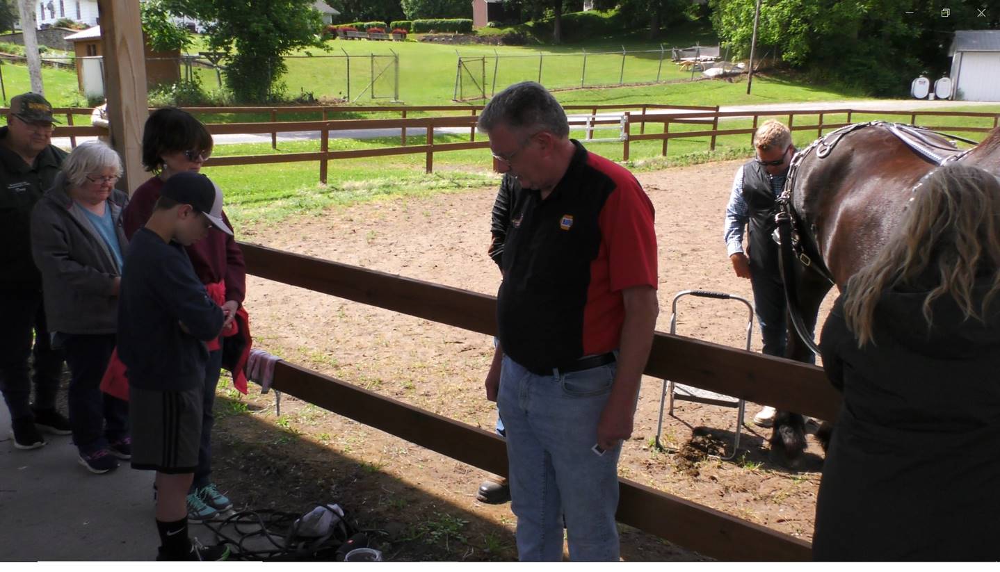 PHOTOS: Food Drive in Lowville with Fred the Horse Collects Donations ...