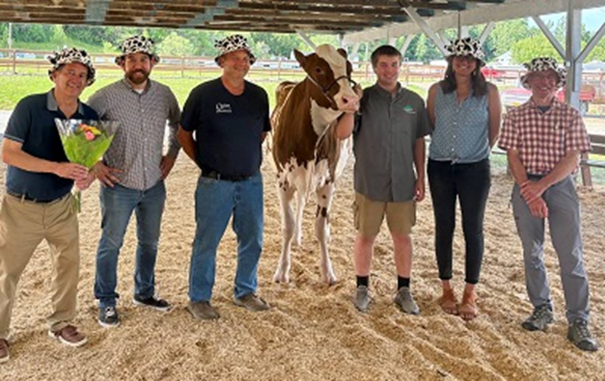 United Way of NNY’s Cow Kissing for ALICE Fundraiser Raises Over $16K ...