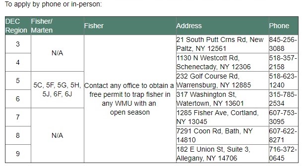 DEC Announces Oct. 25 Start of Furbearer Trapping and Hunting Seasons